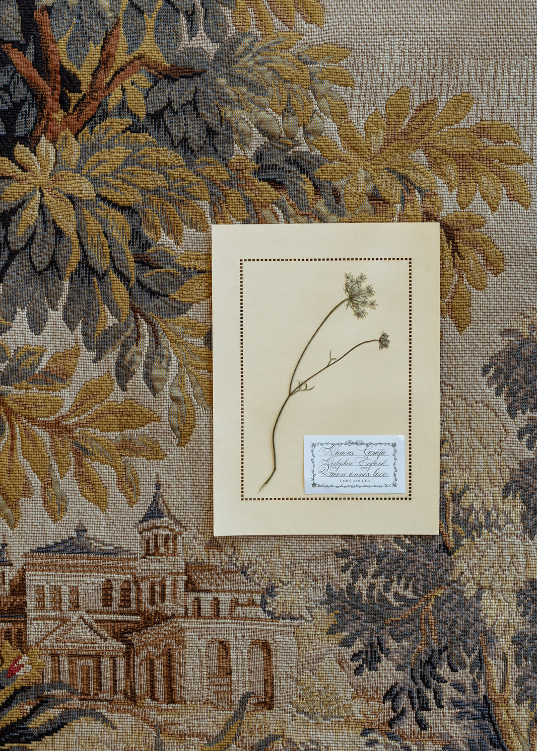 Garden Curiosities – Lore and Lea